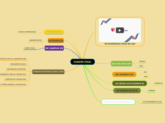 EXAMEN FINAL - Mind Map